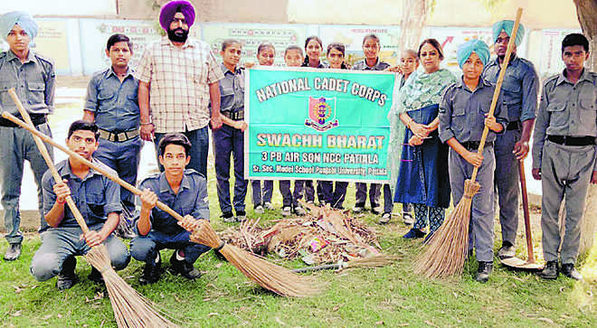 Cleanliness drive organised - The Tribune