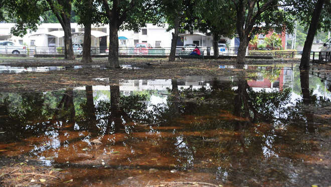2 days after rain, parks still inundated : The Tribune India