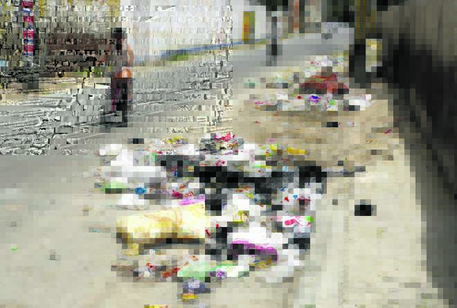 Garbage dumps along roads irk residents : The Tribune India