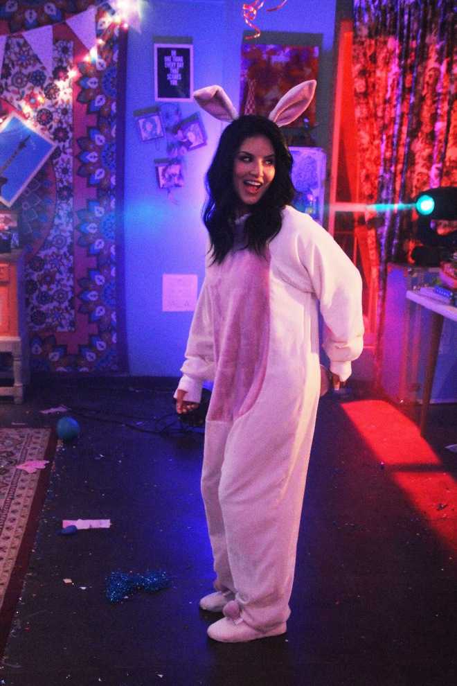 Sunny rocks as a cute bunny - The Tribune