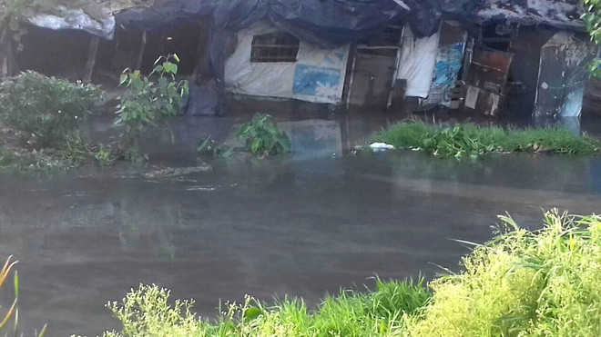 Slum dwellings flooded with rainwater, pose health scare : The Tribune ...