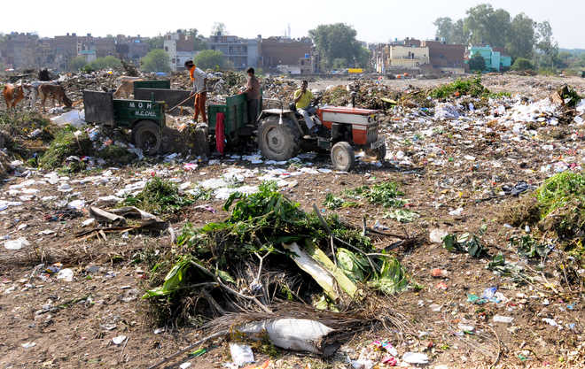Finally, garbage reaches dumping ground - The Tribune