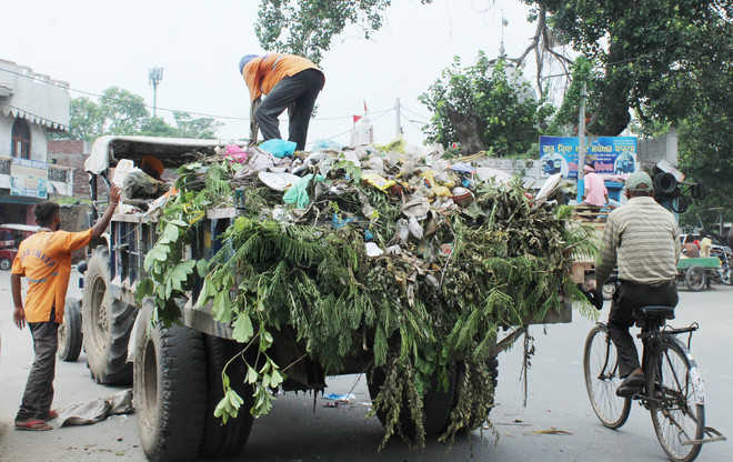 Garbage tractor-trailers mess with swachhta : The Tribune India