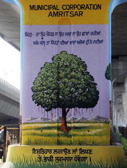 Wall paintings to boost plantation : The Tribune India