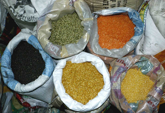 Prices of pulses show an upward trend again : The Tribune India