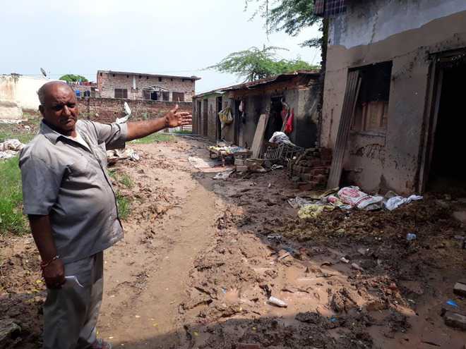 Tangri riverbed residents demand rehabilitation - The Tribune