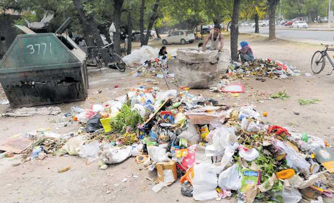 Catch litterer on camera, get reward of Rs 1,000 : The Tribune India