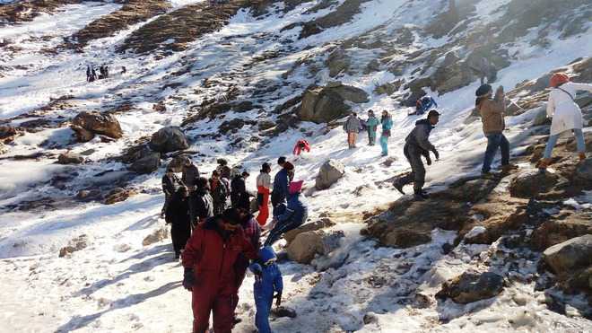 Tourists make beeline for Gulaba - The Tribune