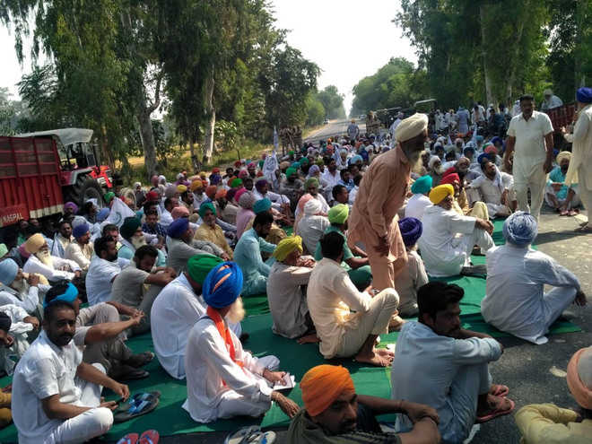 Post Diwali, farmers threaten to set stubble afire en masse - The Tribune
