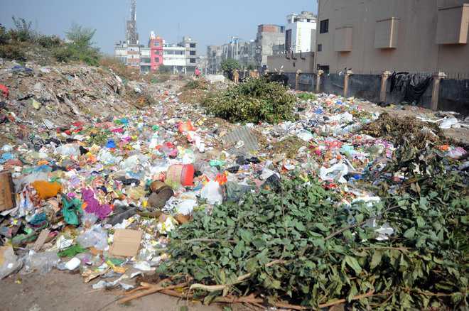 Non-segregated waste dumped at secondary garbage points - The Tribune
