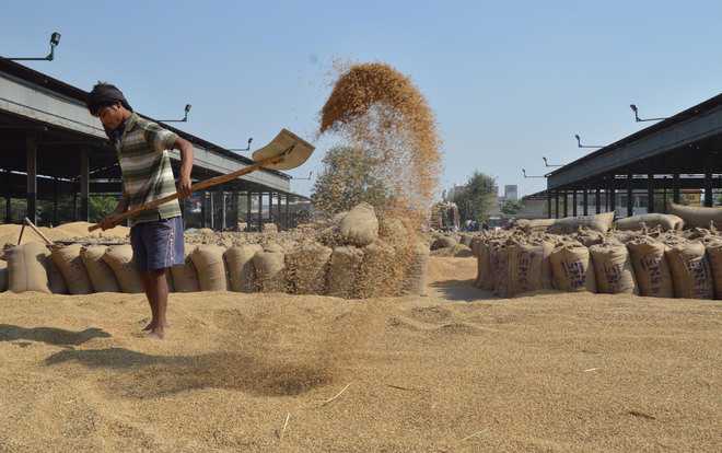 Paddy procurement smooth, Rs1,751 cr paid to farmers: DC : The Tribune ...