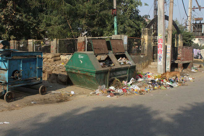 Paddy, garbage stacked together : The Tribune India