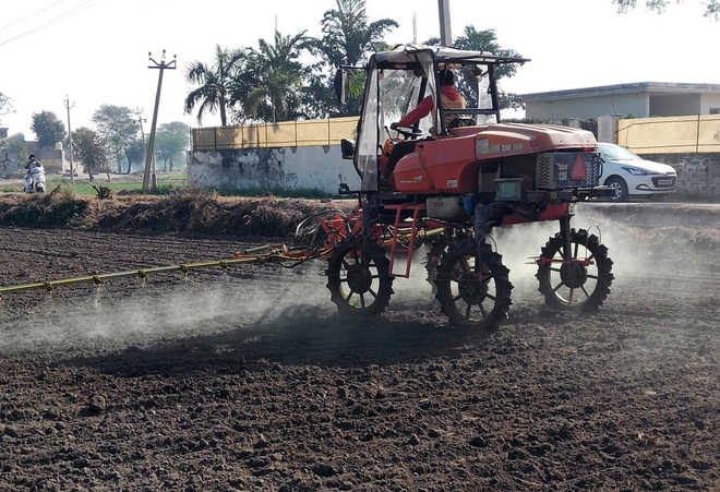 Go hi-tech to control weeds, experts’ advice to farmers - The Tribune