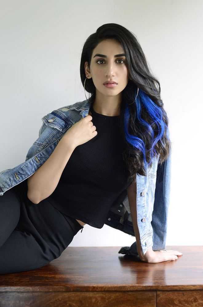 In the web - The Tribune