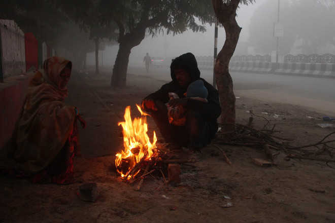 Homeless brave chill in the open - The Tribune