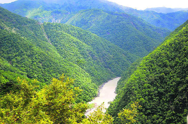 Forest, tree cover up by 1 pc in last 2 years: Report : The Tribune India