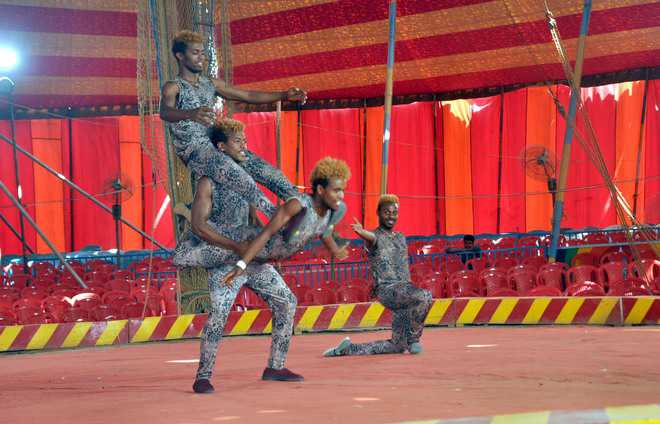 Circus becoming an art of the past, rue artists - The Tribune