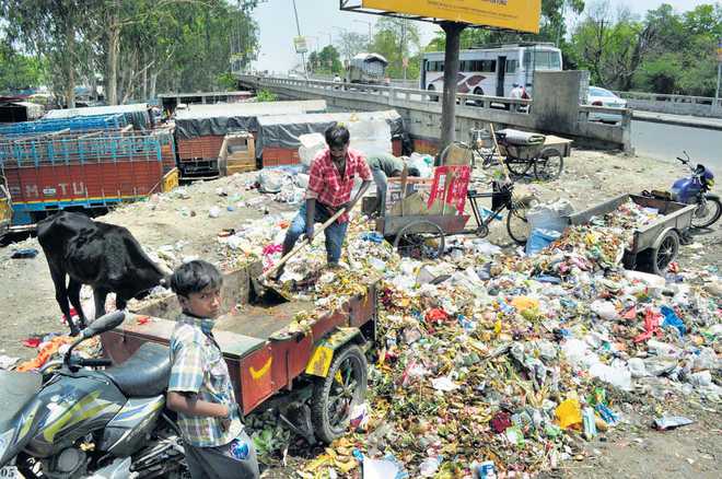 Unattended garbage upsets city residents : The Tribune India