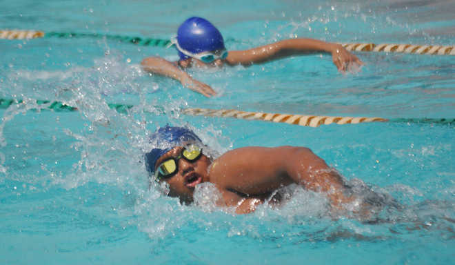 70 swimmers attend selection trials : The Tribune India