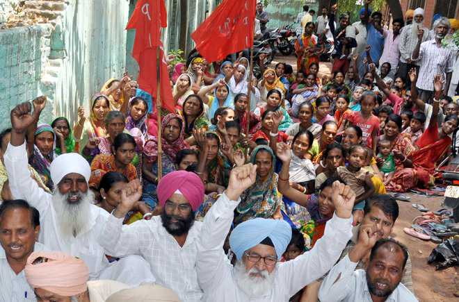 Non-disbursal of wheat sparks RMPI protest - The Tribune