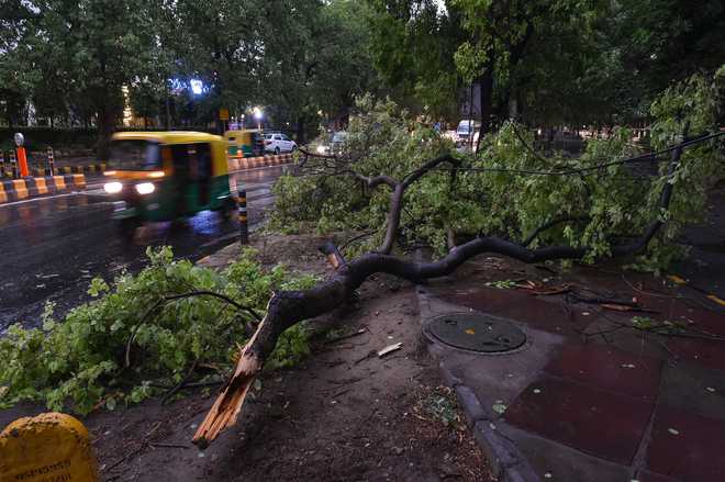26 killed in dust storms, lightning strikes in UP : The Tribune India