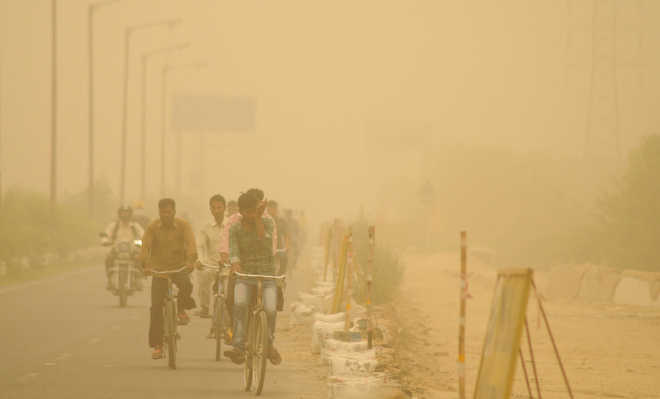 Stay indoors, avoid dust exposure : The Tribune India