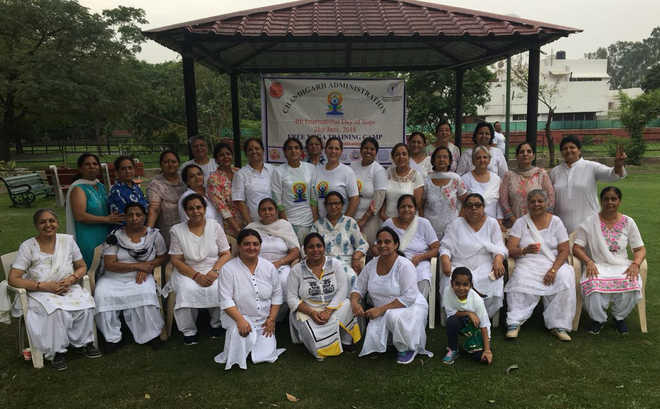 NCC cadets perform synchronised postures - The Tribune