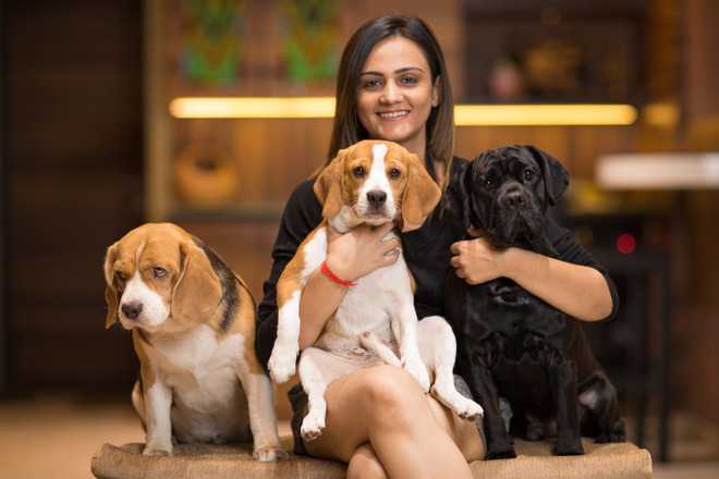 Pet talk - The Tribune