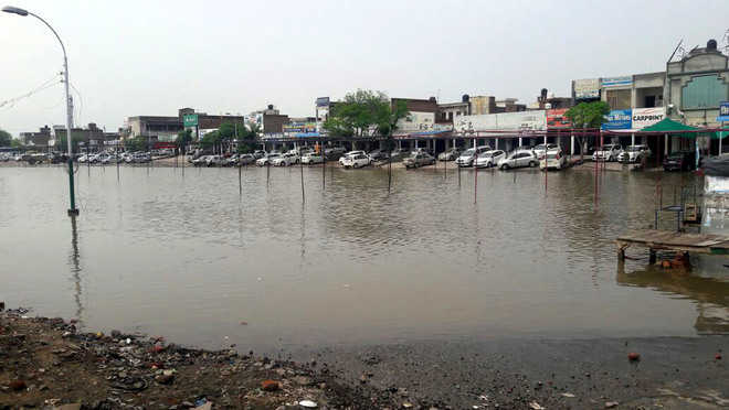 No relief from post rain woes in Malout : The Tribune India