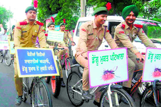 100 NCC cadets take out cycle rally against dengue : The Tribune India