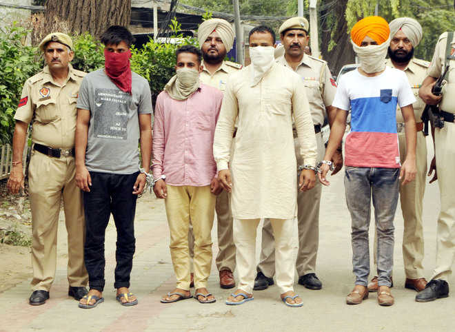 Robbers who terrorised city nabbed : The Tribune India