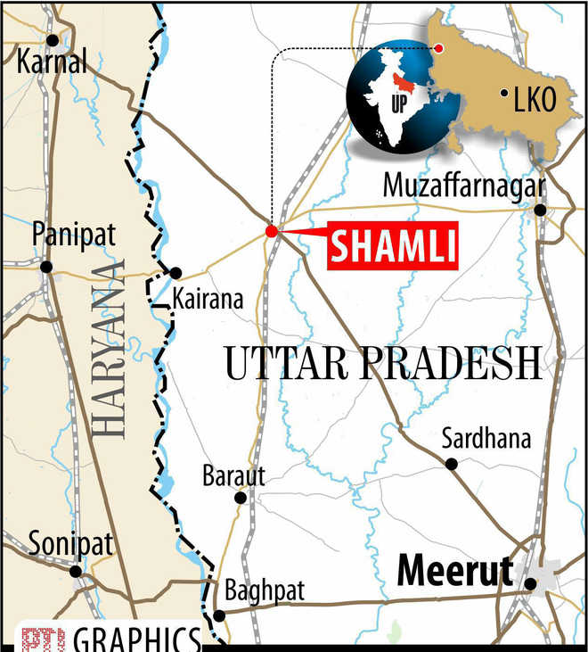 5 dead after consuming spurious liquor in UPs Shamli - The Tribune