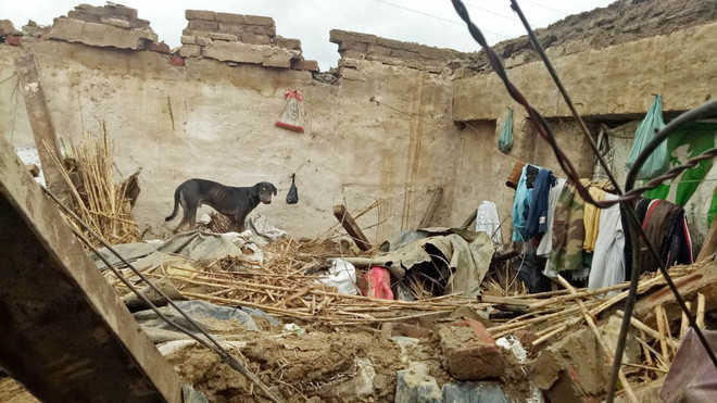 Father, son killed in roof collapse at poultry farm - The Tribune