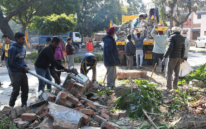 Encroachments? Don’t mistake trees for the woods - The Tribune