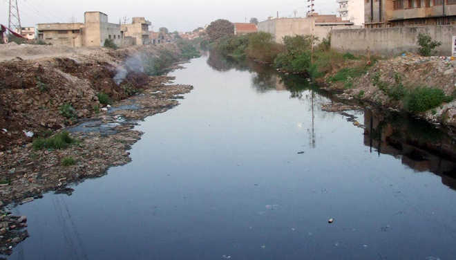 Will major projects see light of day this year? : The Tribune India