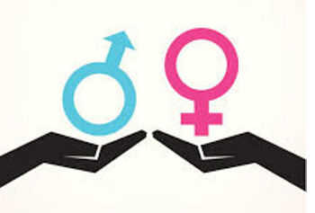 Drive to create awareness on gender equality - The Tribune