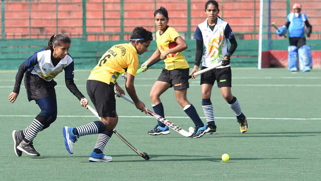 5-star CGHA finish on top : The Tribune India