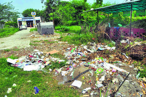 Plastic waste-free city still a distant dream : The Tribune India