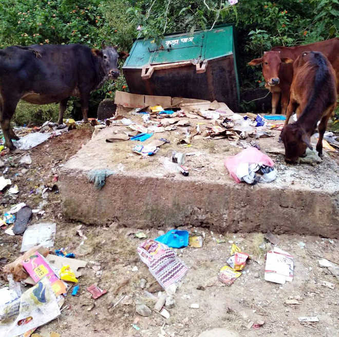 Open disposal of garbage - The Tribune