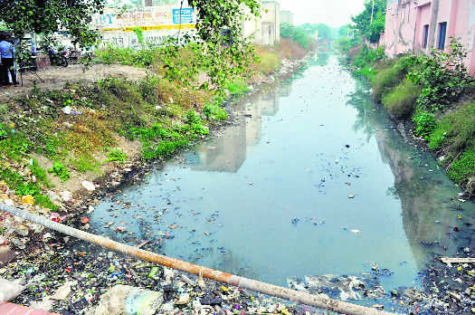 Drainage dept yet to float tender : The Tribune India