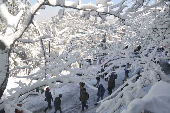 Heavy snow blocks 351 roads in Mandi, Kullu, Lahaul : The Tribune India