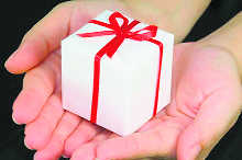 No limit on gift amount to parents : The Tribune India
