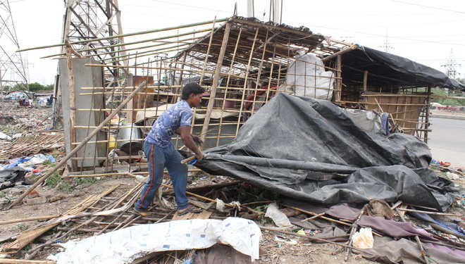 High-velocity winds, rain leave city in a mess : The Tribune India