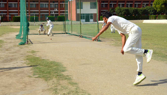 Cricket assn holds selection trials - The Tribune