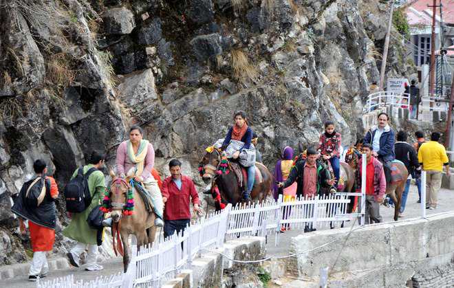 Now, safety gear for pony riders at Vaishno Devi - The Tribune