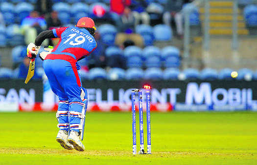 Curious case of ‘zing bails’ that won’t fall - The Tribune