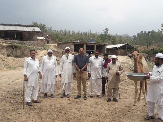 ‘Mehar’ all set to revive village economy - The Tribune