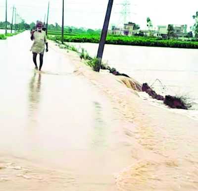 Badi Nadi overflows, over 400 villagers evacuated - The Tribune