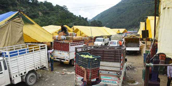 Well-equipped market yard in Kullu a distant dream - The Tribune