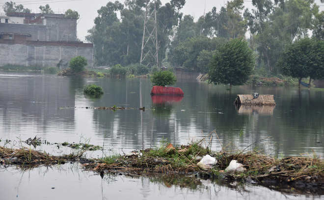 Nullah water flows into fields, streets : The Tribune India